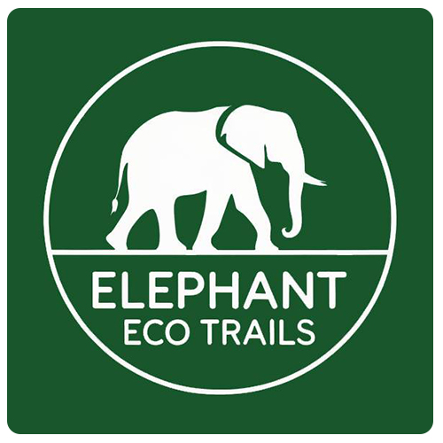 Home: Elephant Eco Trails